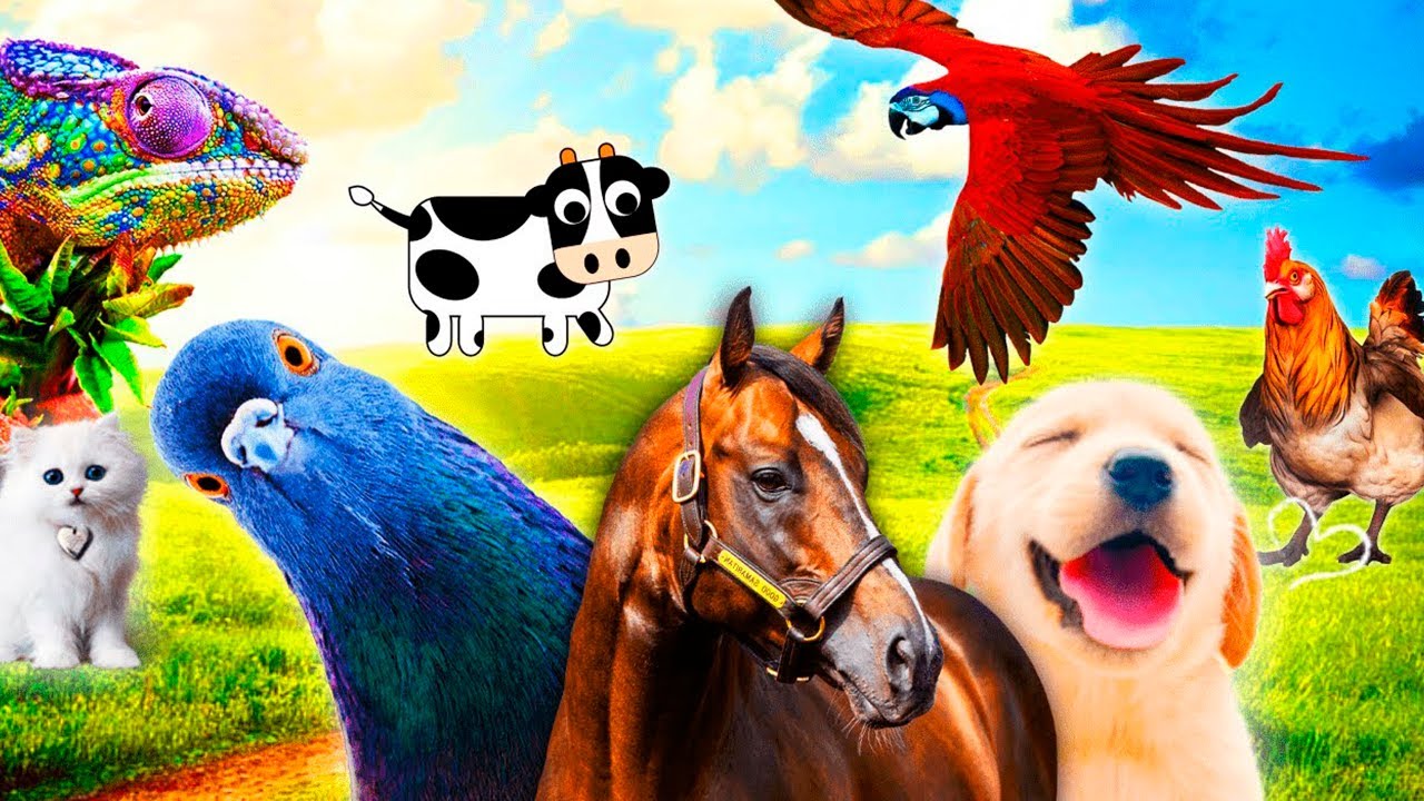 Forest Animal Sounds, Cow Sounds, Tiger Sounds, Lion Sounds, Horses ...