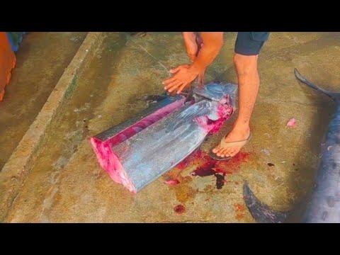 SPLIT A MARLIN FISH,THE FLESH IS VERY RED || CUTTER FISH MARLIN IN ASIA ...