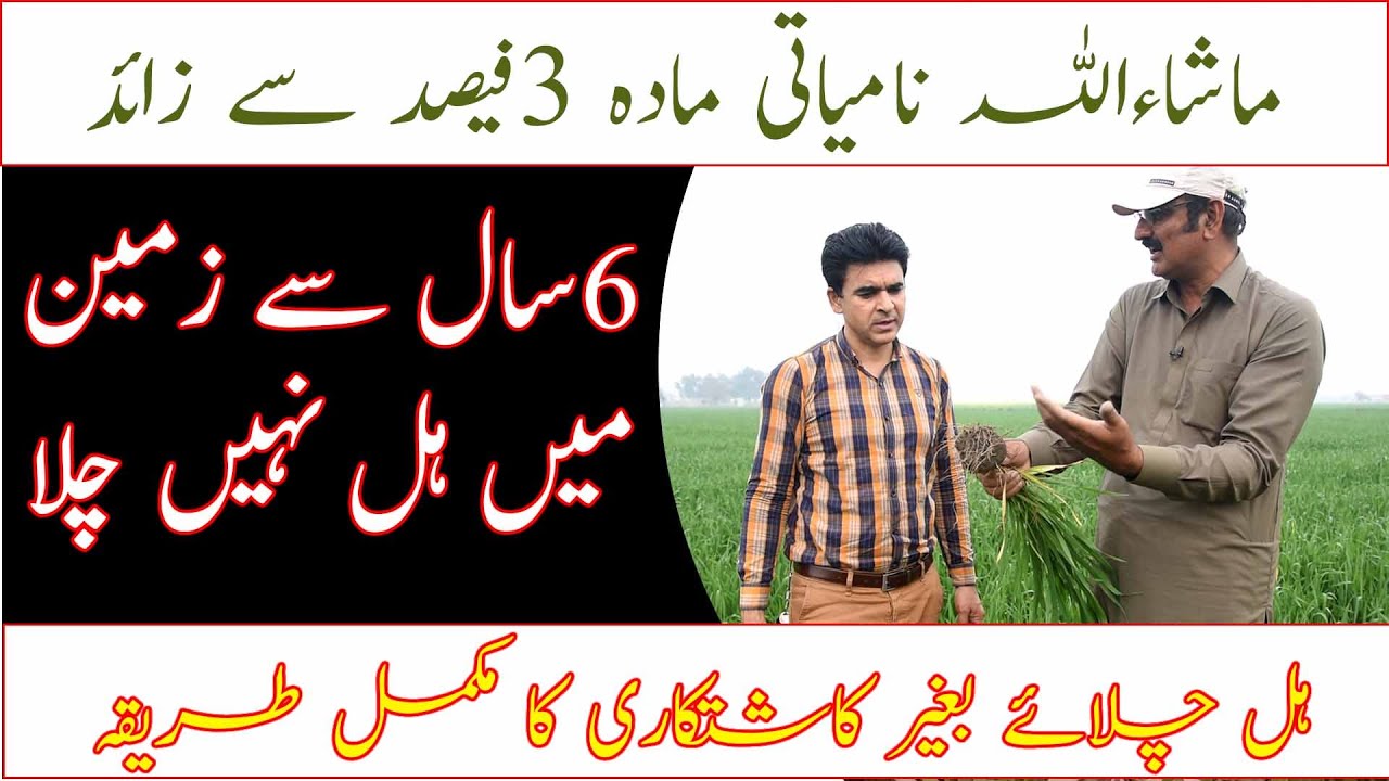 Zero tillage farming in Pakistan|How to do farming without ploughing ...