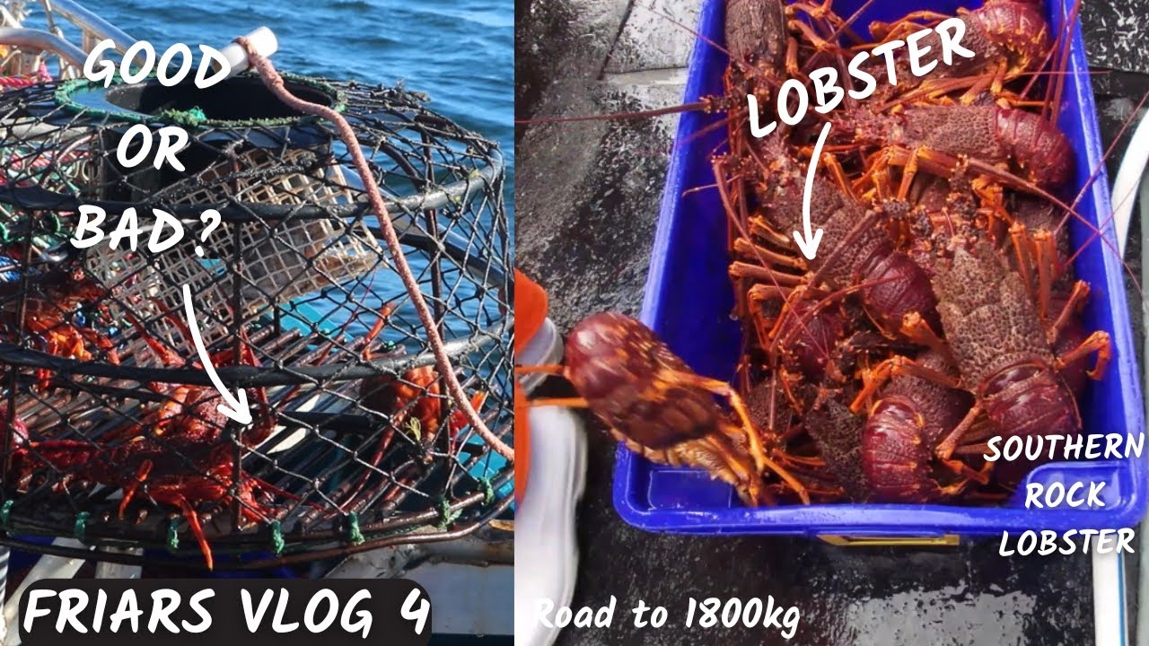 The morning shot, better then expected? . - Friars fishing vlog day 3 ...