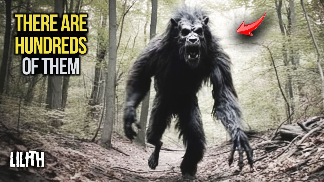 *WARNING* DO NOT GO TO OHIO - 4 REAL Dogman Encounters - YouTube