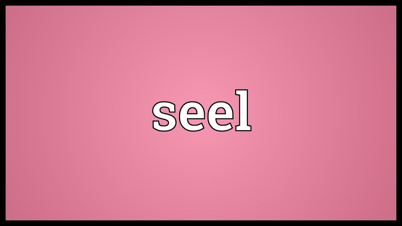 Seel Meaning - YouTube