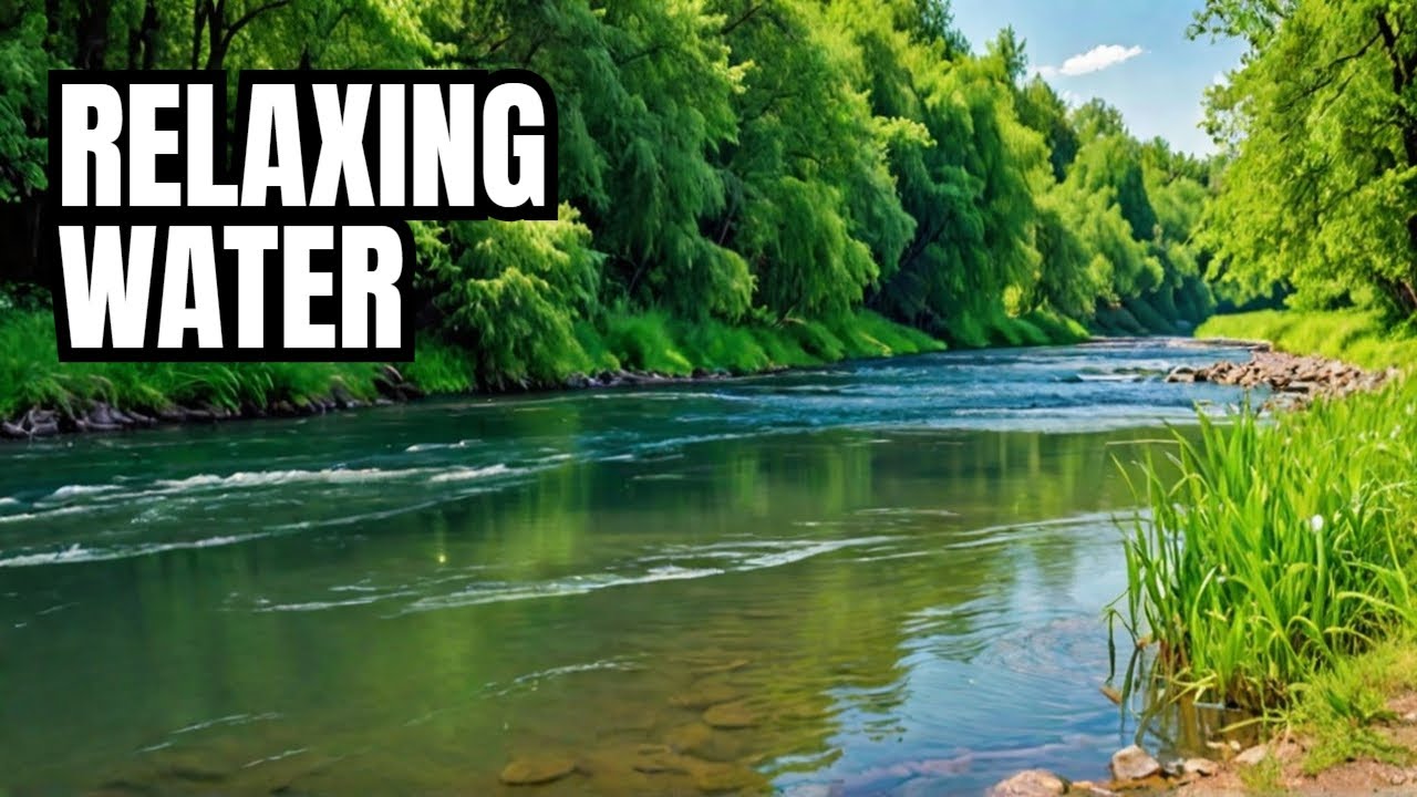 Peaceful Flow: Relaxation with the Sound of Flowing Water - YouTube
