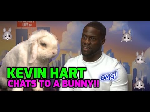 The Secret Life of Pets: Real bunny rabbit interviews Kevin Hart! - YouTube