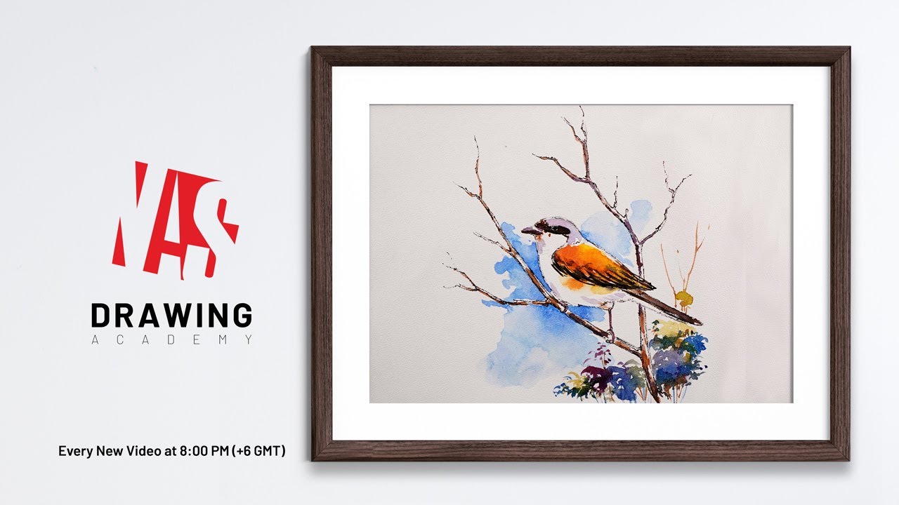 How to Draw Long-tailed Shrike Bird | Watercolor Painting for Beginners ...