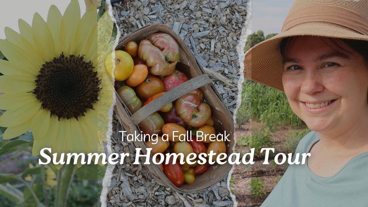 Tiny Farmer is here! | Fall Break - YouTube