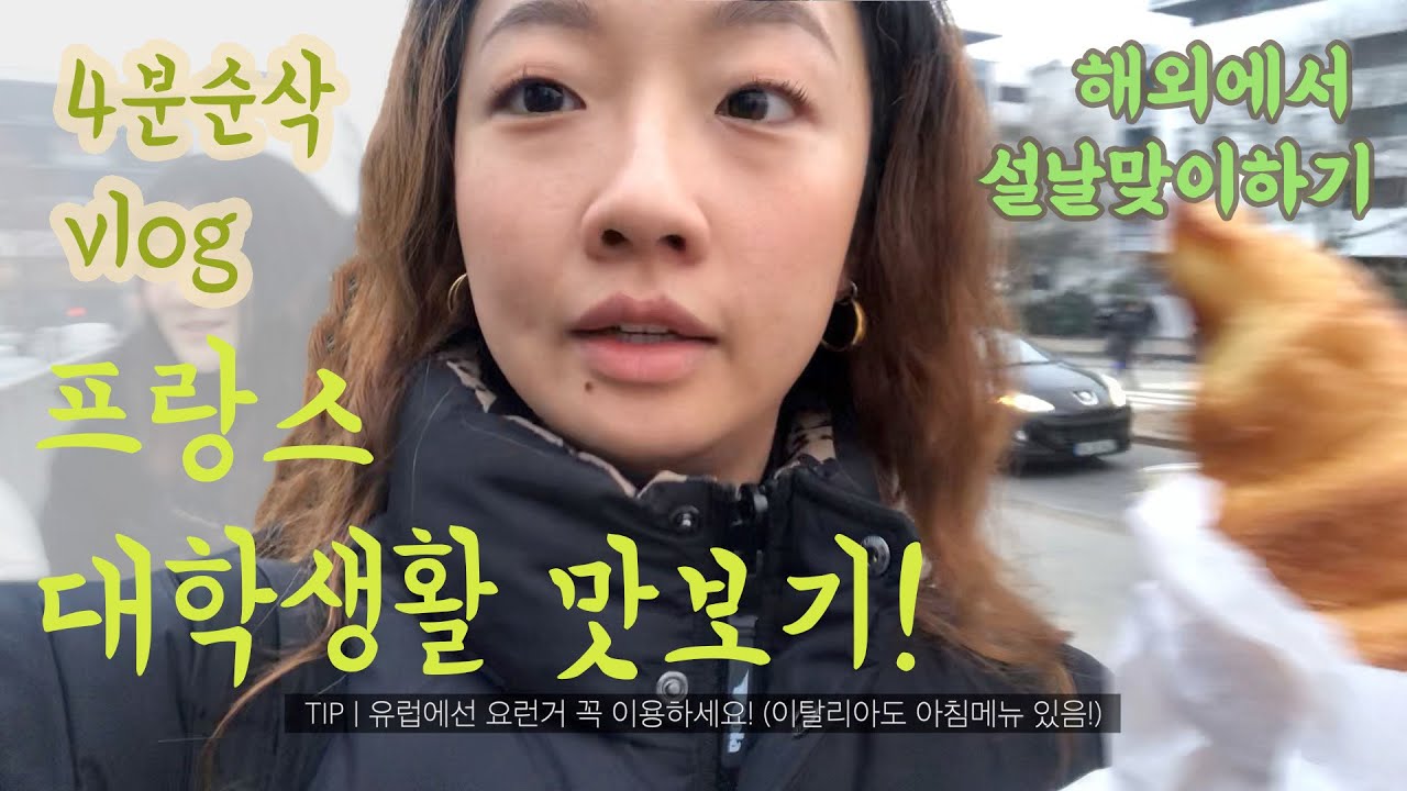 히피호피 Vlog 프랑스 대학생활 피곤해서 졸면 어떡해ㅎ 프랑스 리옹 13편 프랑스일상 설날 해외여행