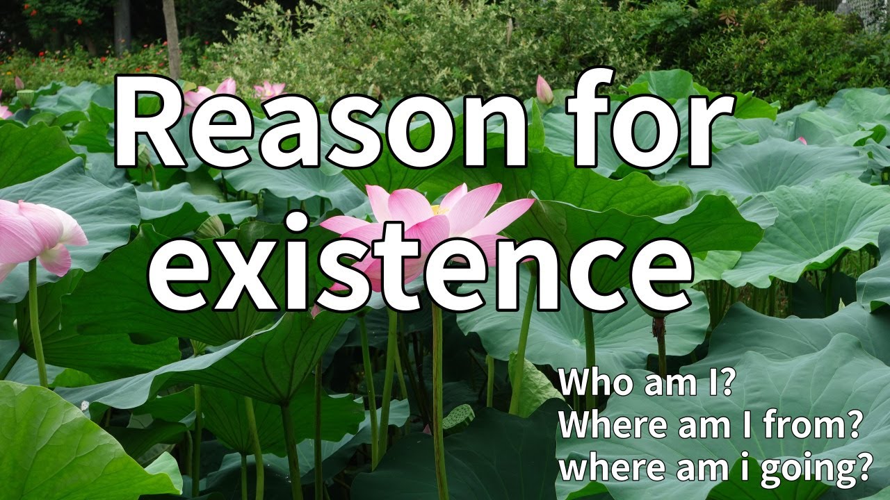 46. Reason for existence - YouTube