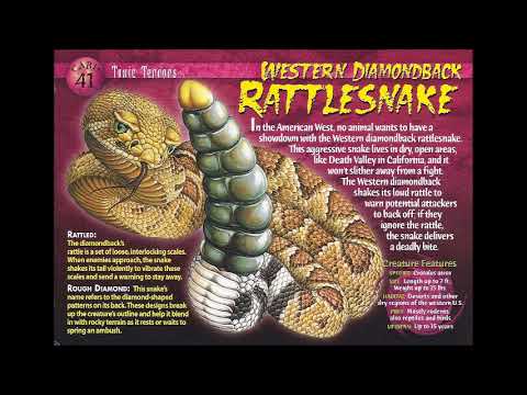 03 Weird N Wild Creatures Toxic Terrors - YouTube