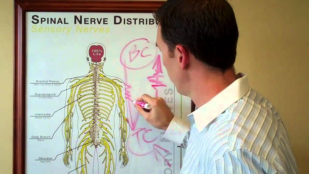 Safety Pin Cycle - Chiropractic - YouTube