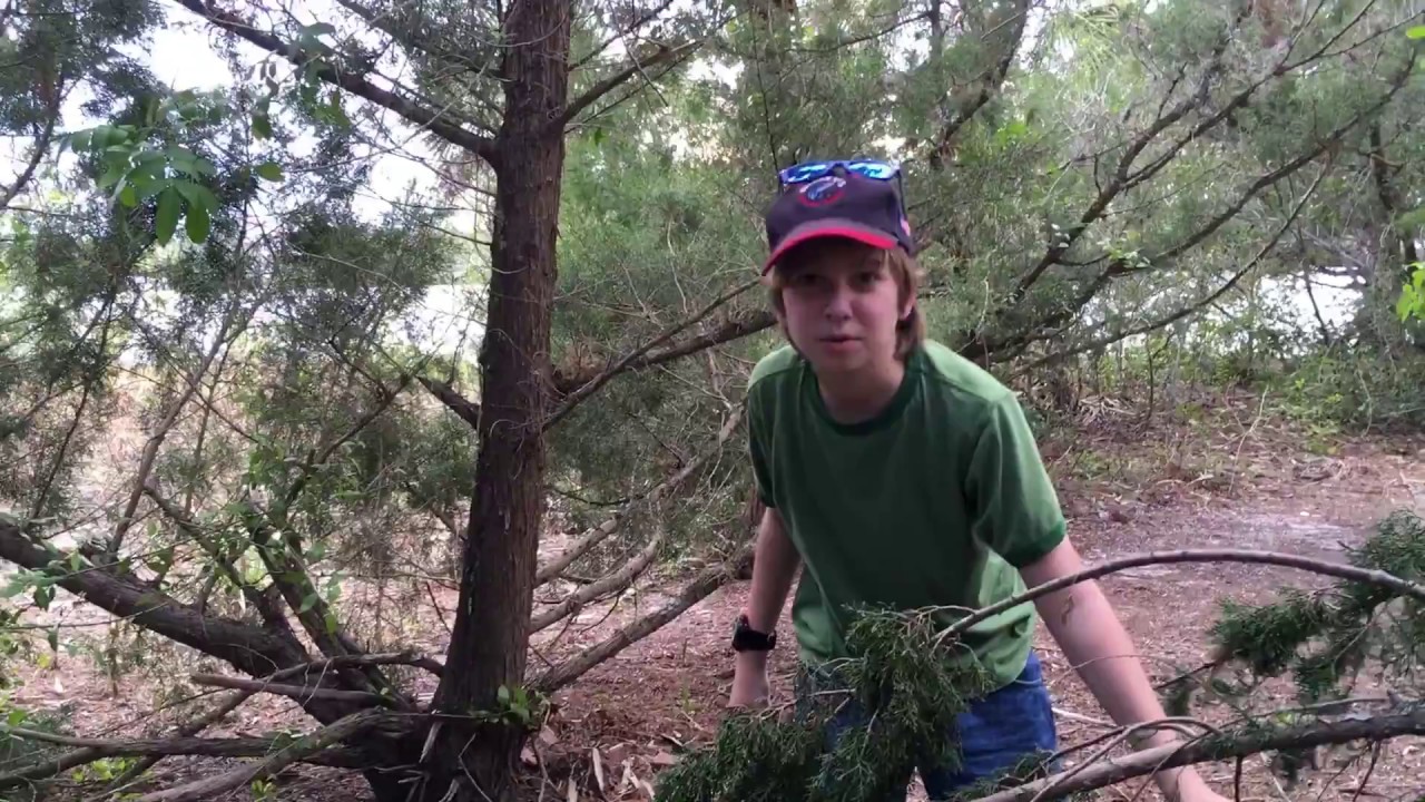 Ry the Nature Guy #3 - YouTube