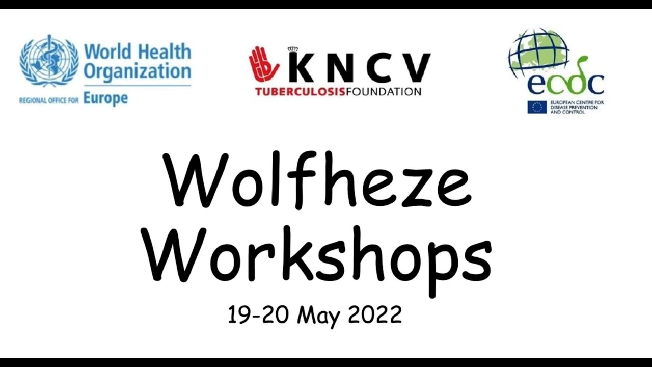 What is the essence are the Wolfheze movement: 20th sessions of ...