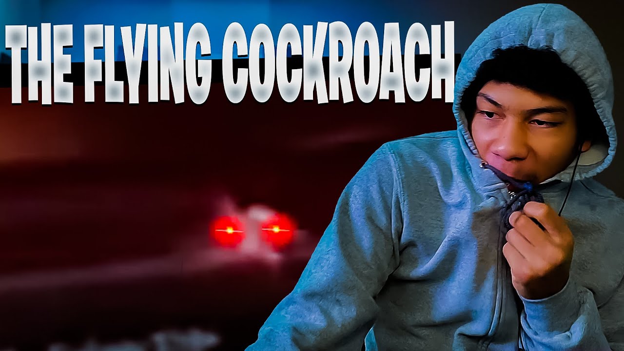 The Flying Cockroach Attack Funny Compilation PART 2 Reaction - YouTube
