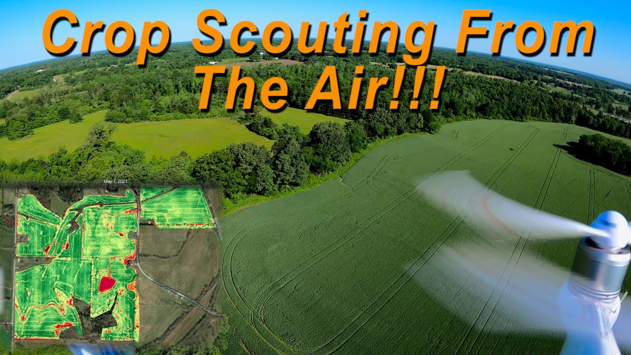 5/7/21: Crop Scouting From The Air!!! - YouTube