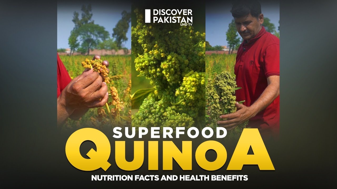 Superfood Quinoa Nutrition Facts and Health Benefits | Kissan Ka ...