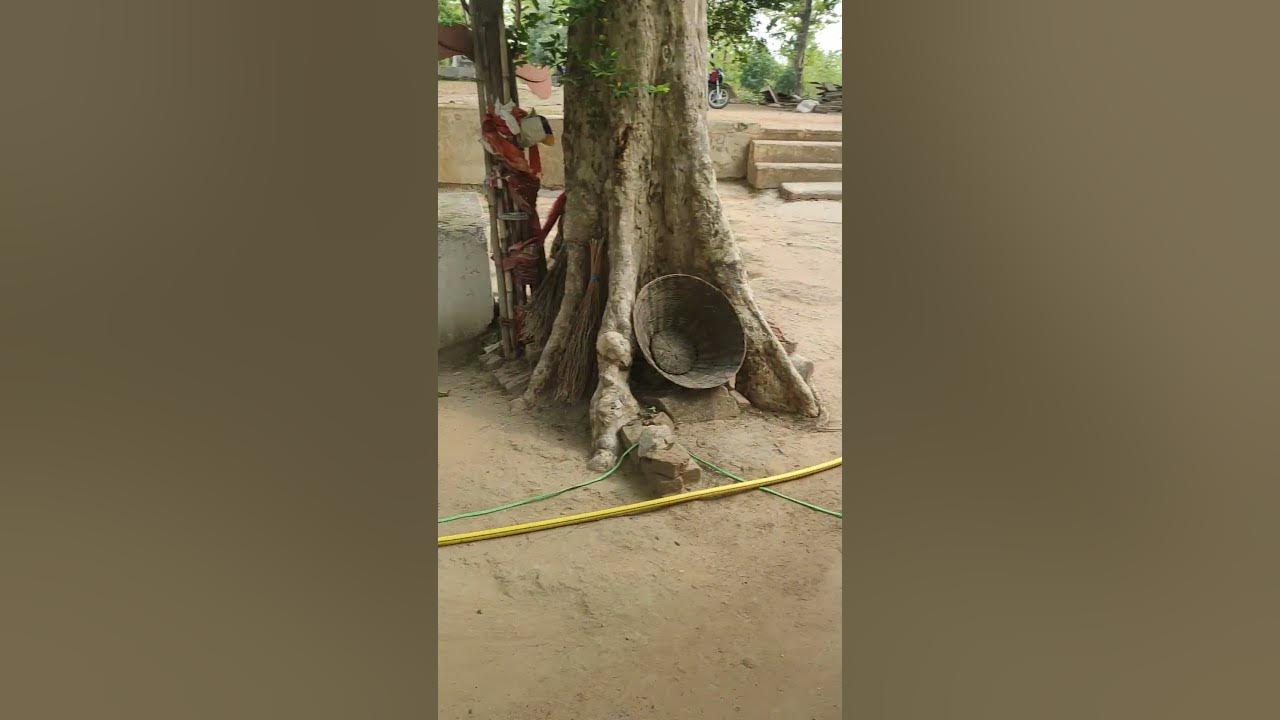 Jo par kare naiya ve parbati maiya - YouTube