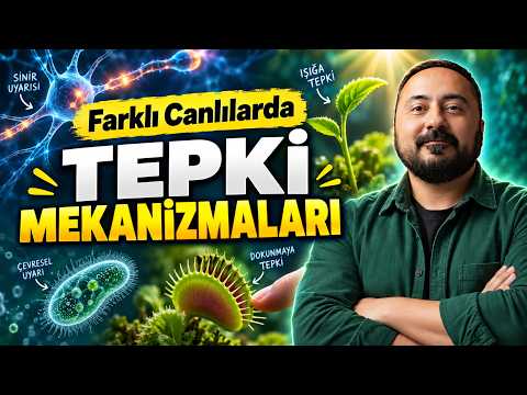 Farklı Canlıların Uyaranlara Karşı Oluşturduğu Tepkiler | 11. Sınıf Biyoloji 2026-2027
