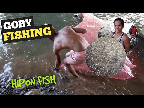 PHILIPPINE FISHING | GOBY FISH FISHING | PANGHUHULI NG ISDANG HIPON O ...