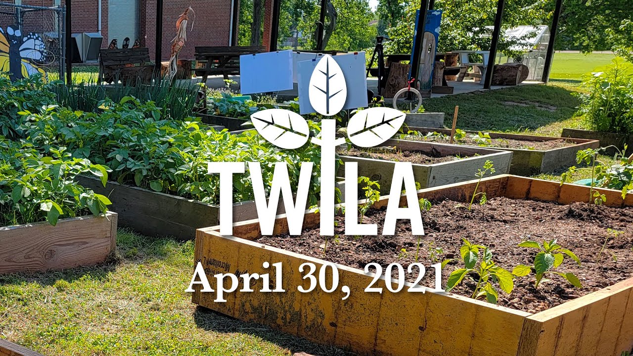 TWILA -- April 30, 2021 - YouTube