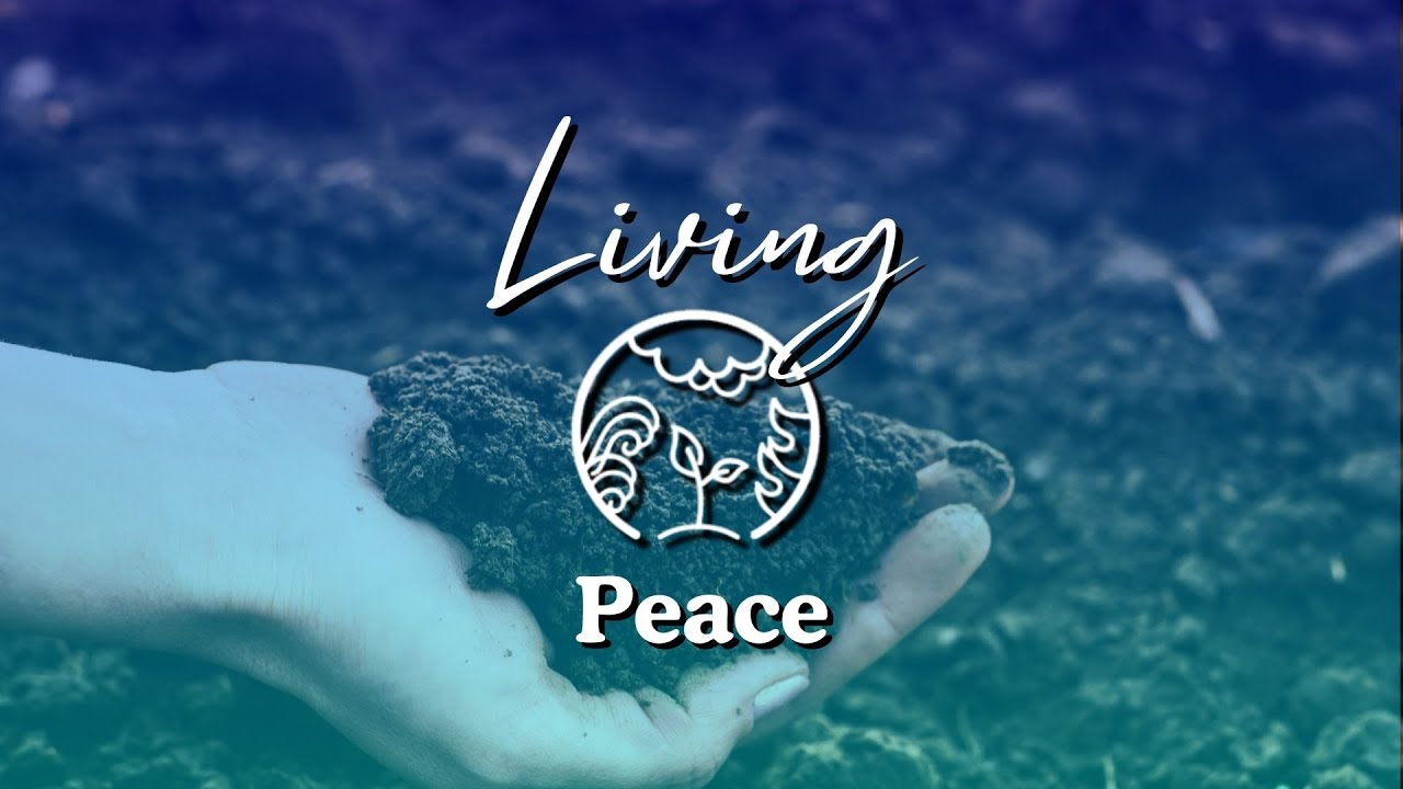 Living Peace - YouTube