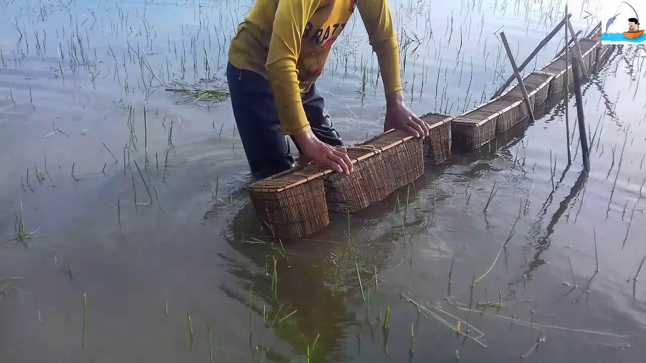 amazing bamboo Box fish trap/bamboo fish trap/best fish trap,Fish Ttap ...