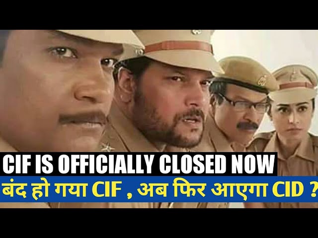 Cif Memes 80+ Funniest Programming Memes (2024)