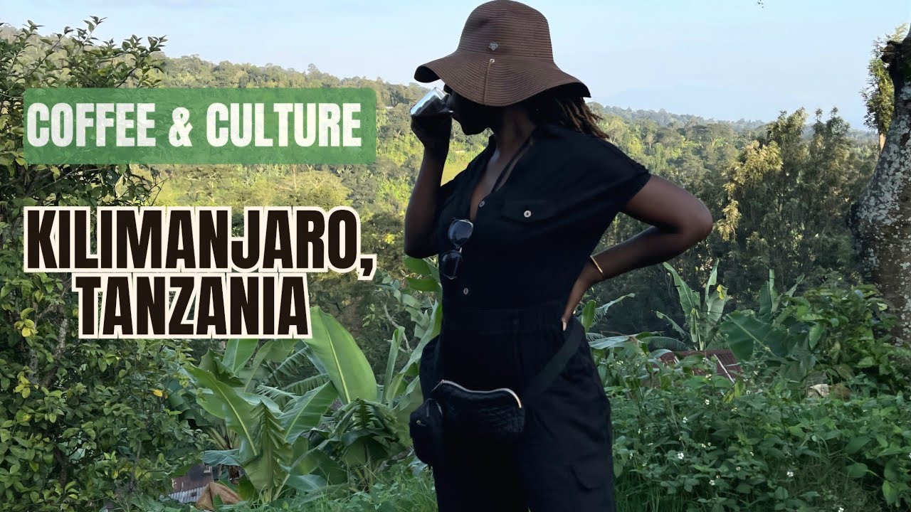 Kilimanjaro, Tanzania: Coffee Culture | Africa Vlog | - YouTube