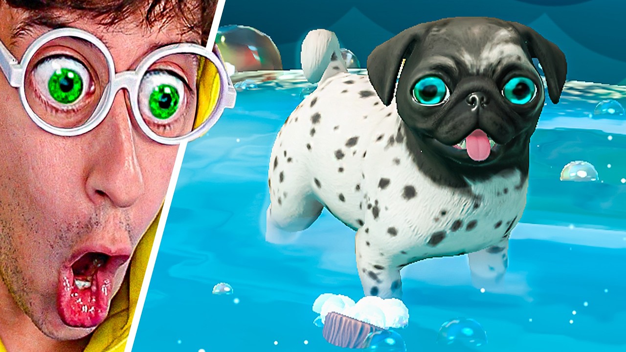 Mi Nuevo Perro Pug 🐶 ️!! (Carlino Bebé 👶🏻) - YouTube