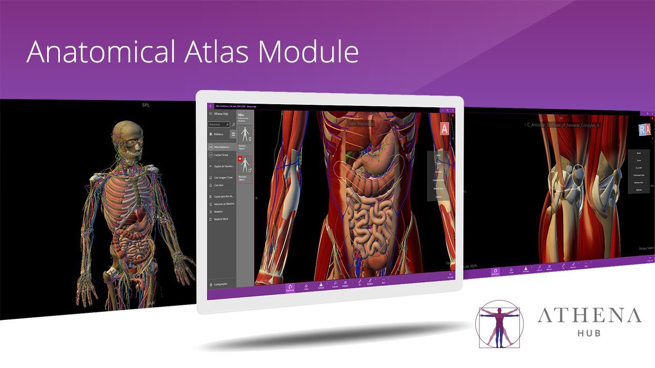 Athena Hub - Anatomical Atlas Module - YouTube