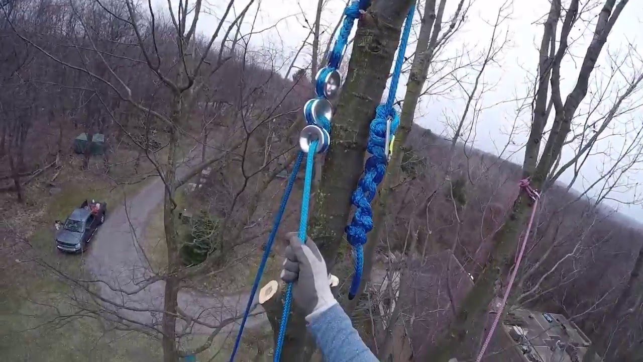 Using the ABR Thunder Sling for Aerial Friction in the Tree - YouTube
