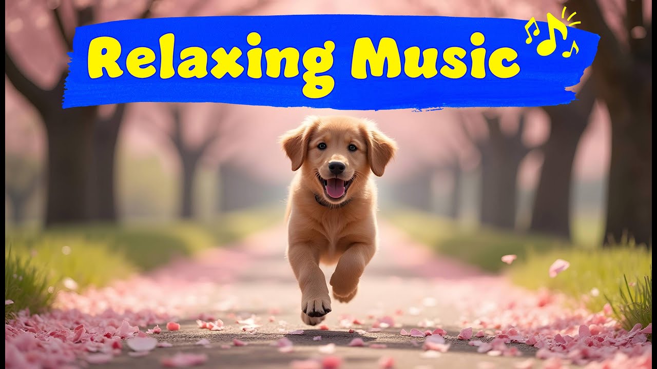 🎧 Relaxing Music that Calms your mind as soon as you listen it - YouTube