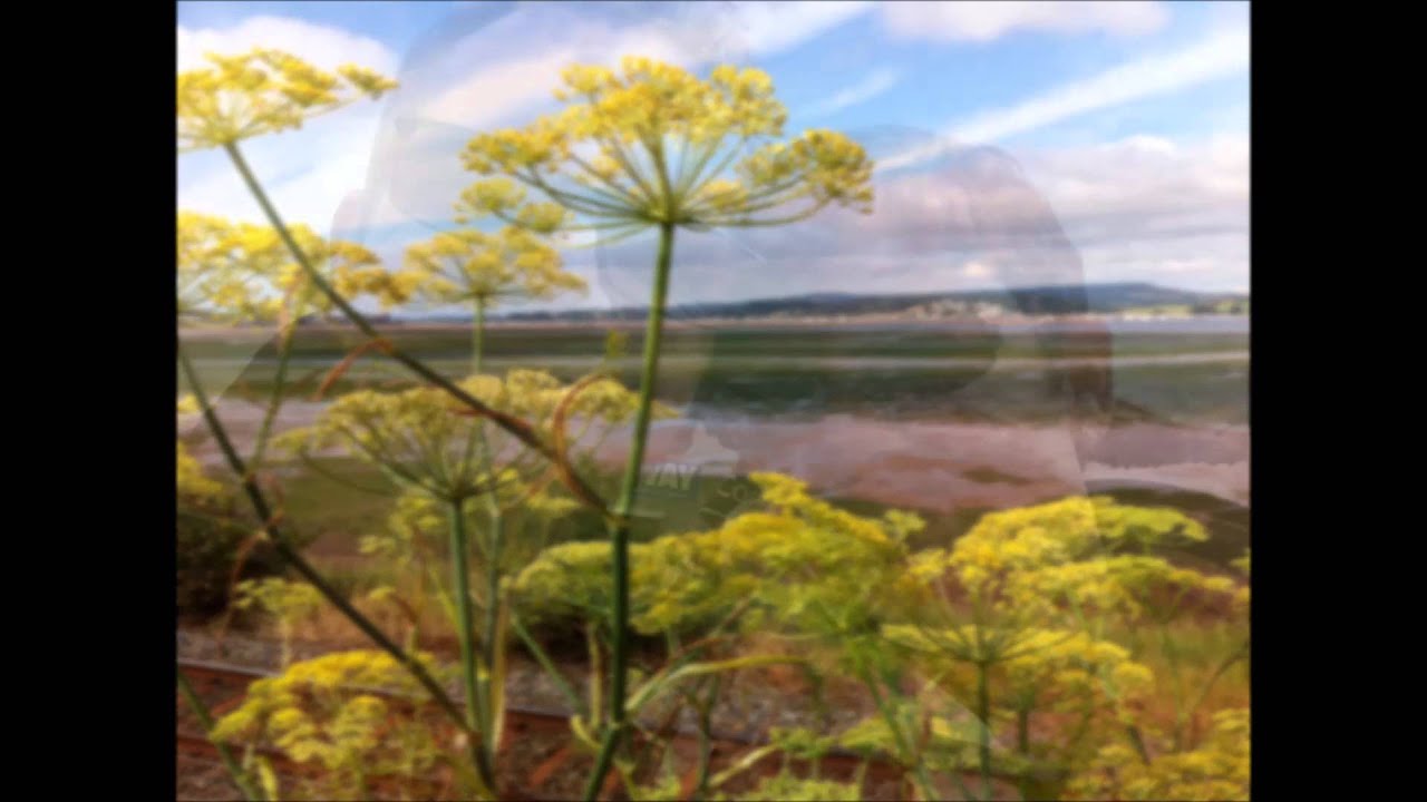 rays movie hd - YouTube