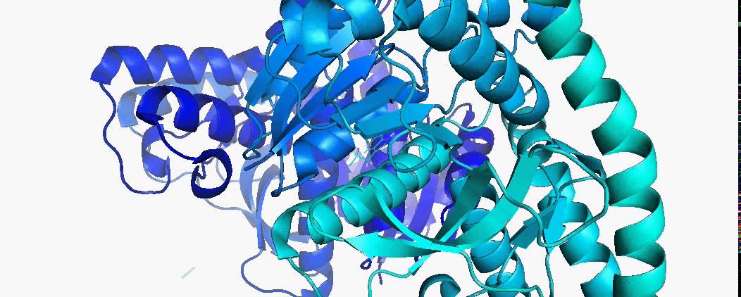 Ella's Pymol Movie - YouTube