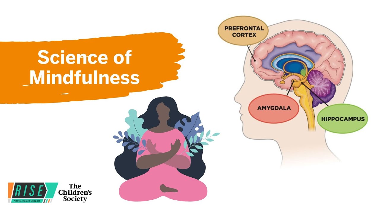 Science of mindfulness - YouTube