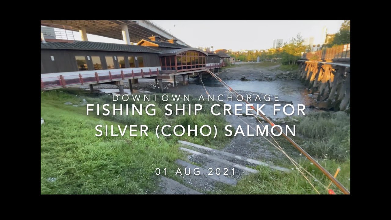 Silver Salmon Fishing Downtown Anchorage - YouTube