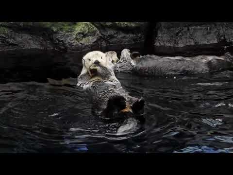 Bugünkü Ruh Halim   #bugunkuıruhhalim