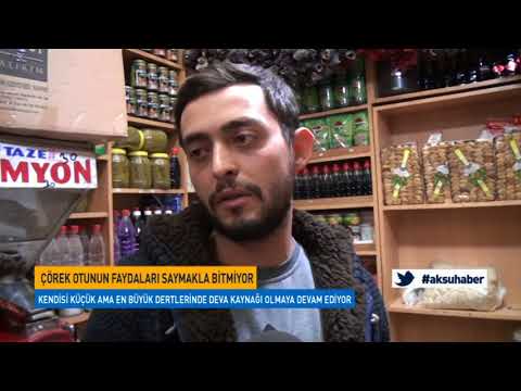 Çörek otunun faydaları saymakla bitmiyor