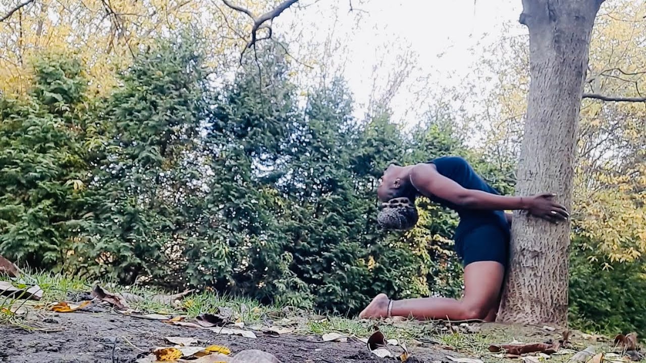 Tree stretch 19/26 - YouTube