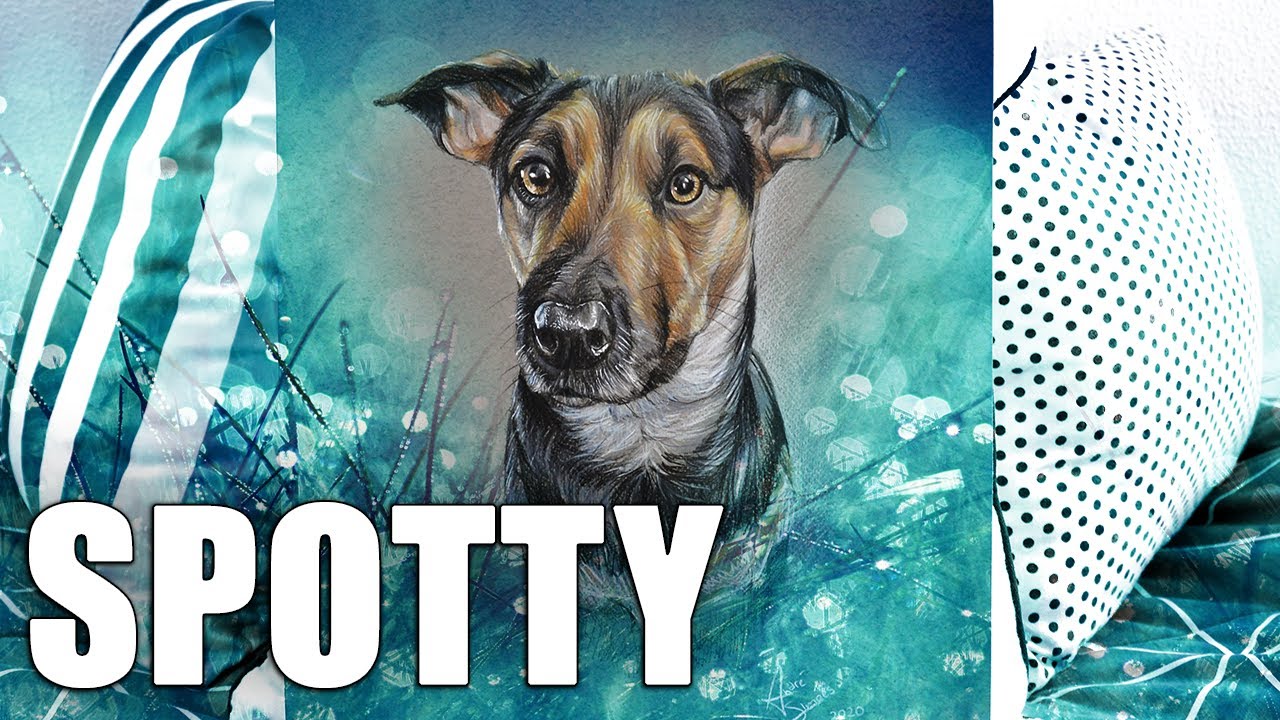 "Spotty" - Dog Portrait - YouTube