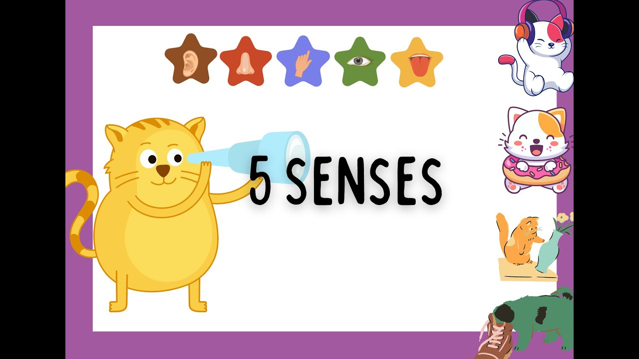 Five Senses | Names of senses | Discovering and Exploring the five ...