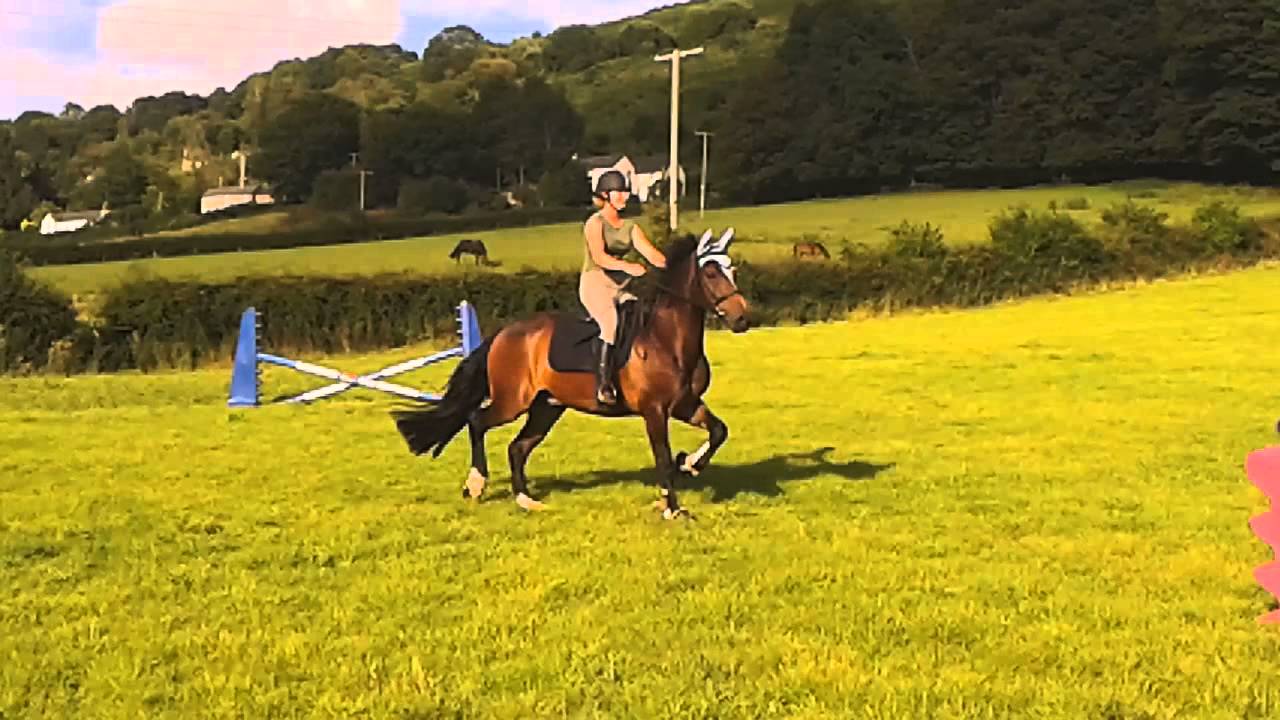 Solo jumping in the field - YouTube