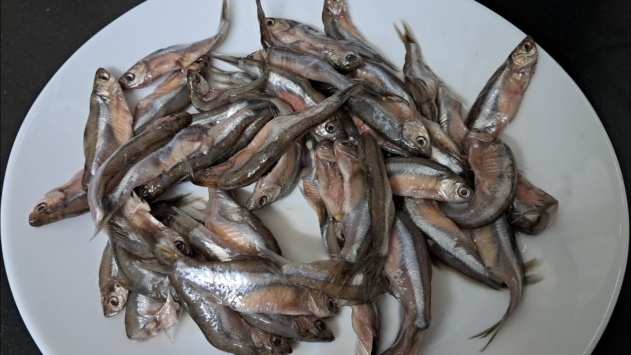 How to cut and clean mourala fish ? #mourala #fishcleaning #fishcutting ...