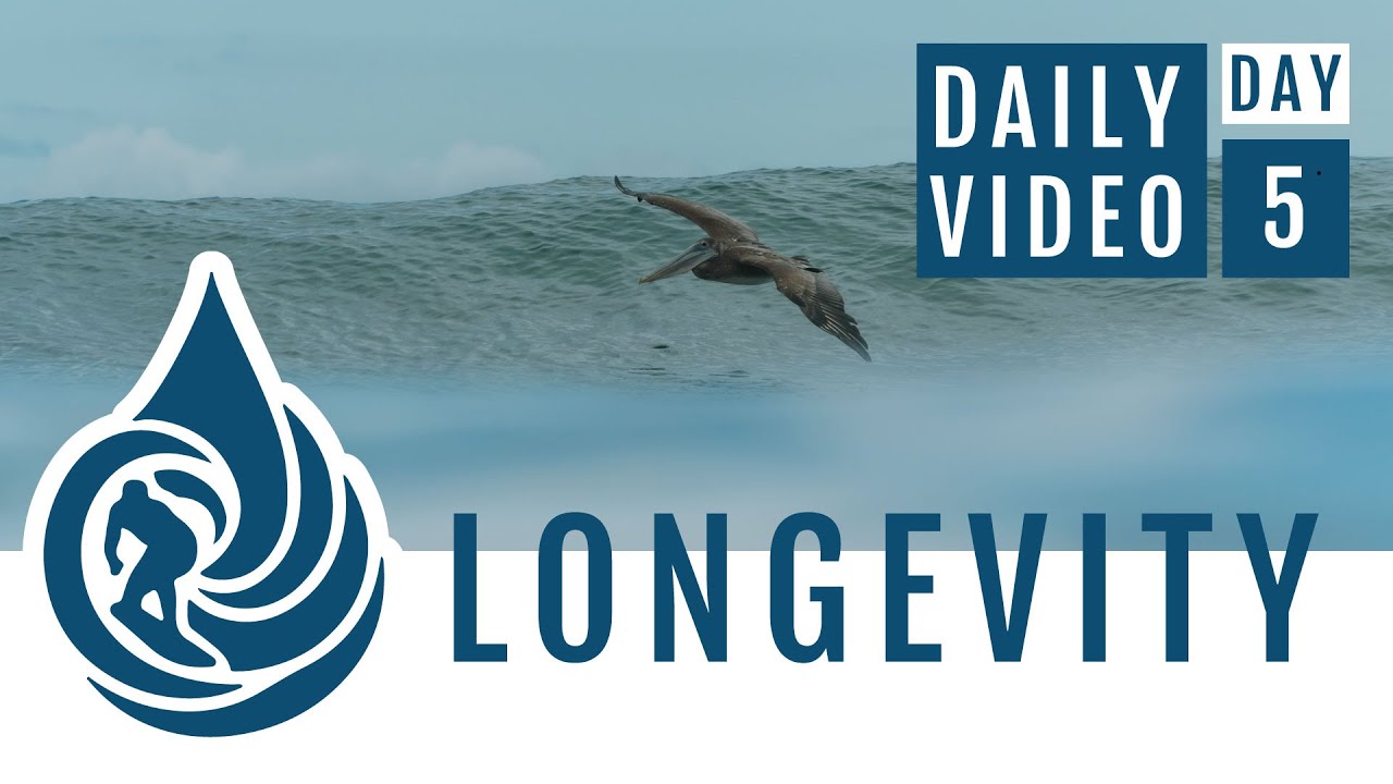 Longevity - Day 5 - YouTube