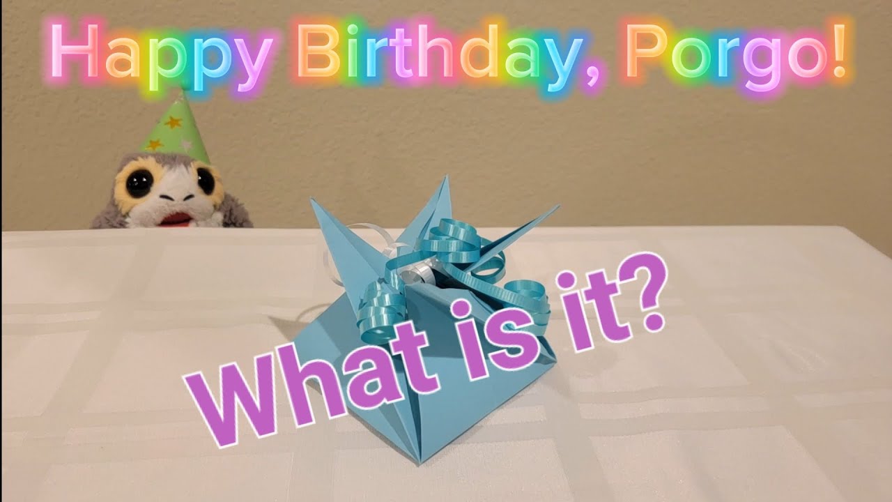 Happy Birthday Porgo! What is it? 100th video! - YouTube