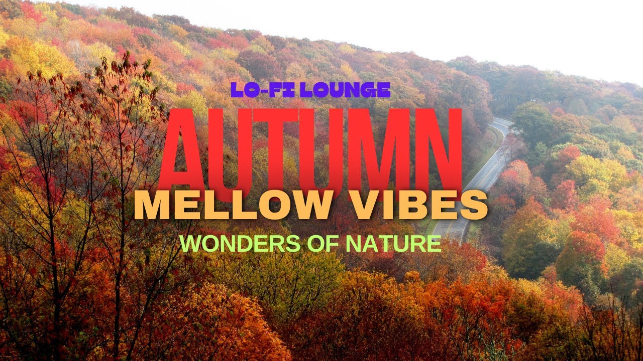 Feel the Sublime Autumn Vibes I Bring PEACE & MELLOW feel to your Soul ...