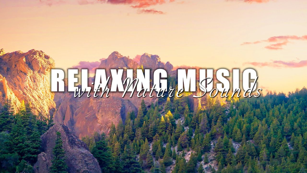 Relaxing Music & Nature Sounds | Relaxing music to Rest the Mind, Sleep ...