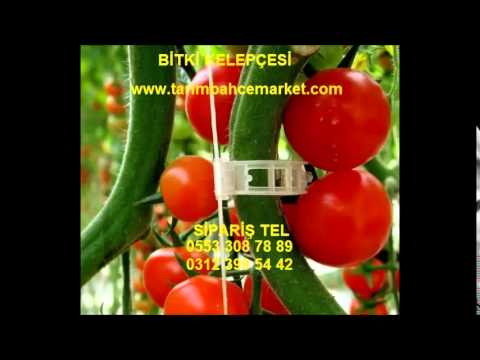 Bitki klipsi,bitki klipsleri,domates klipsi,bitki bağlama klipsi,bitki ...