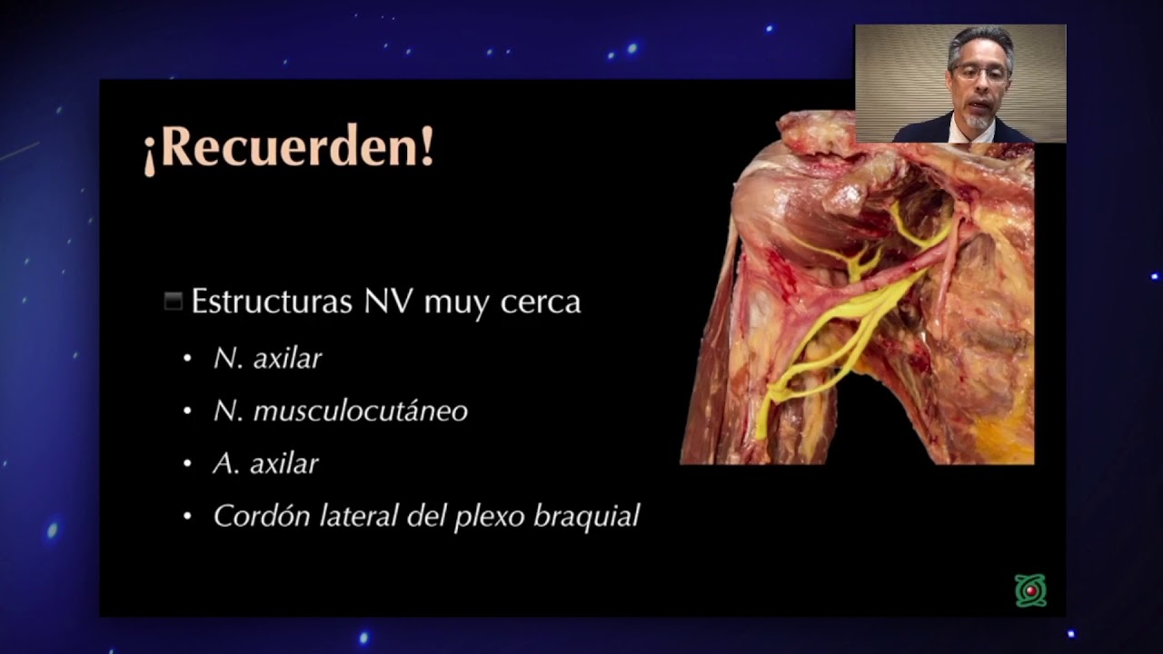 Identificación y reparación de las lesiones del subescapular - YouTube