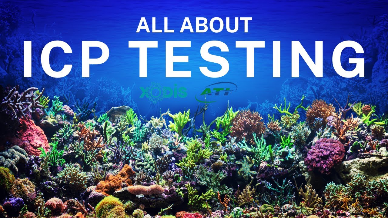 Why You Should Do ICP Testing On Your Reef Tank | ATI ICP - YouTube
