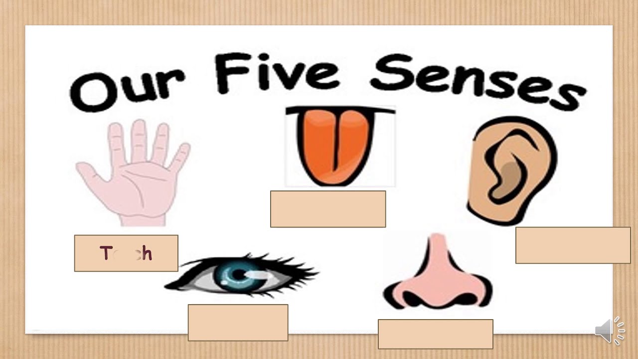 KG1 science class - YouTube